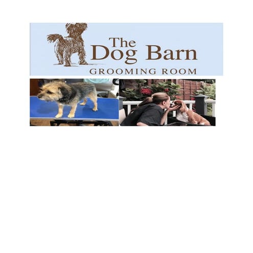 Dog Barn Grooming | PDF