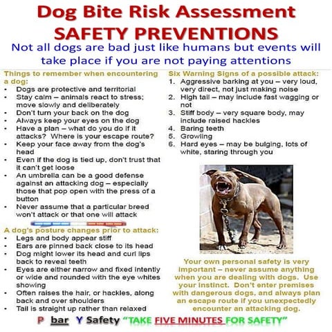 Dog bite risk assessment | PPTX