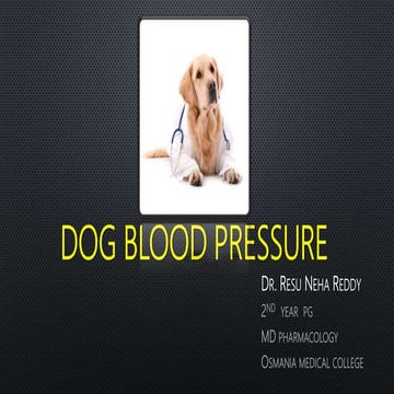 Dog blood pressure | PPTX