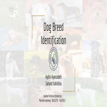 Kaggle Dog breed Identification | PPTX