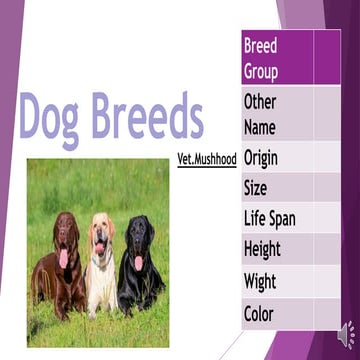Dog breeds | PPTX