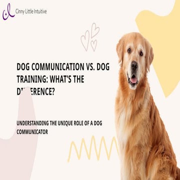 Dog Communication vs. Dog Training: Understanding the Key Differences ...