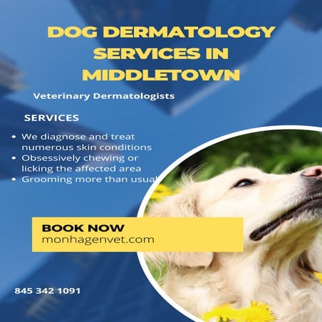 Dog Dermatology Services in Middletown | PDF
