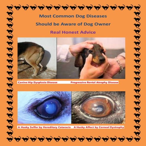 Dog Diseases | DOCX