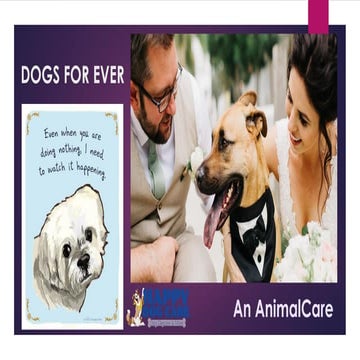 Therapy dogs presentation | PPTX