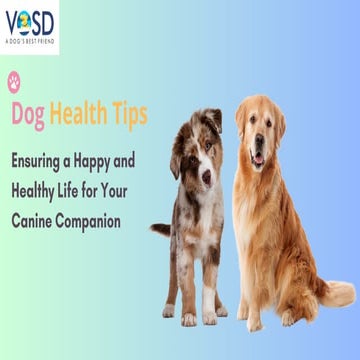 Dog Health Tips | PDF