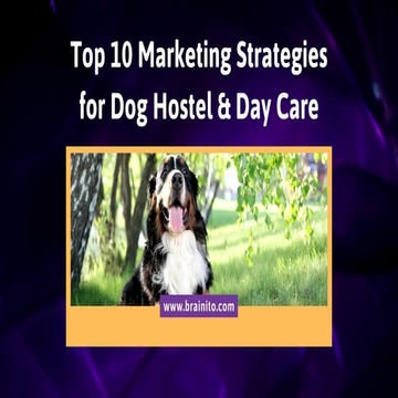 Marketing Strategies for Dog Hostel & Day Care.pdf