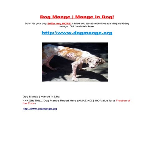 Dog Mange | PDF