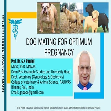 Vet obst lecture 5 Parturition in domestic animals | PPTX