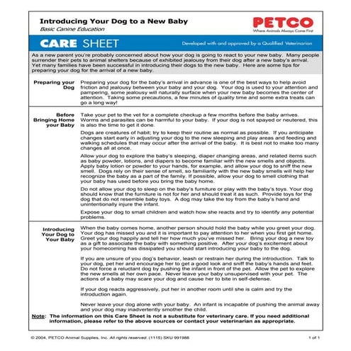 Dog Meets Baby Webinar | PPTX