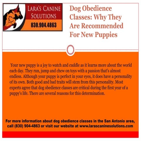 Dog Obedience Classes: Why They Are Recommended For New Puppies | PPT