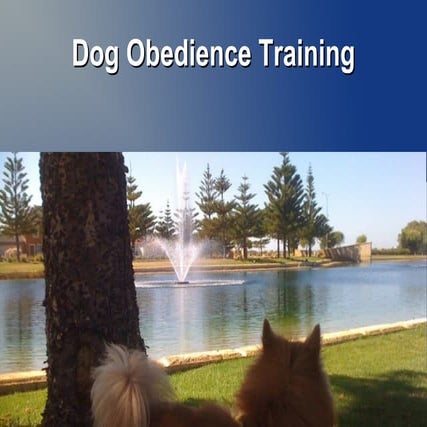 Dog Obedience Training | PDF