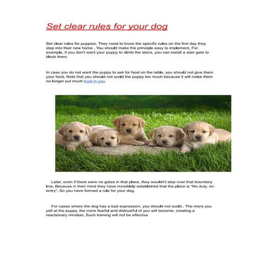 dog pet.pdf
