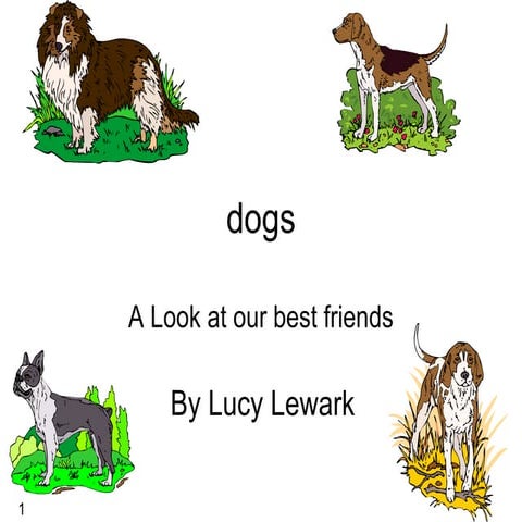 Dogs | PPT