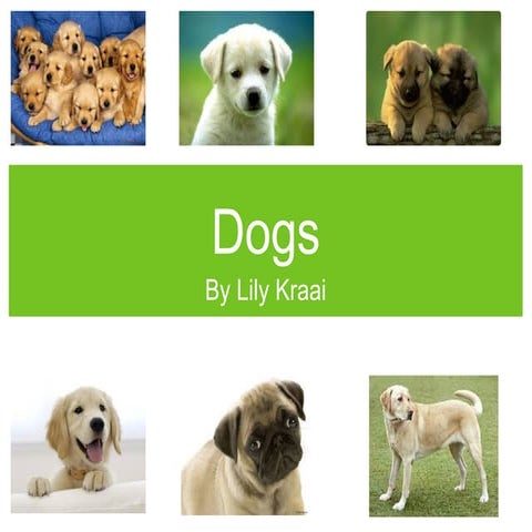 Dogs | PPT