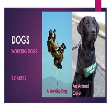 Dogs ppt (1) | PPTX