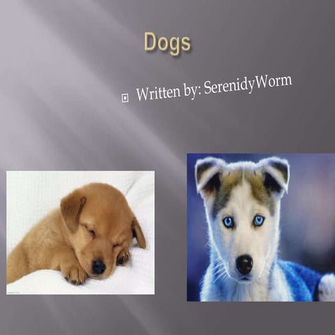 Dogs | PPT