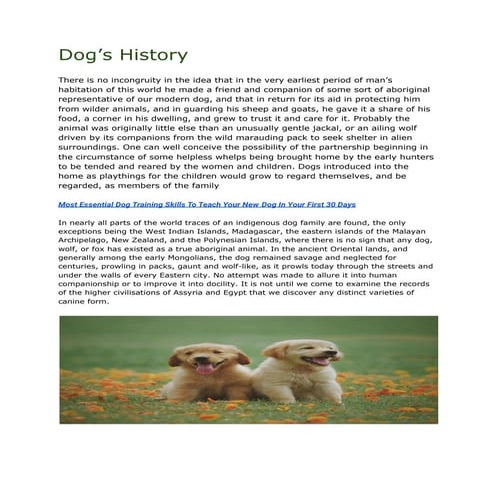 Dog's history | PDF