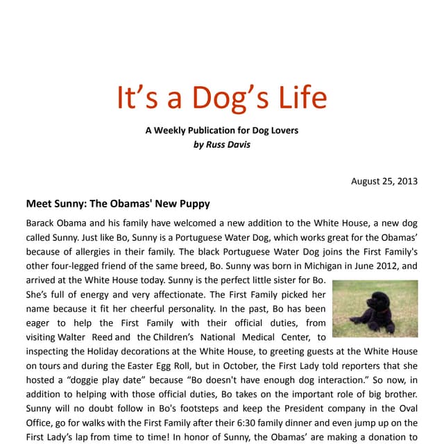 It's a Dog's Life | DOCX
