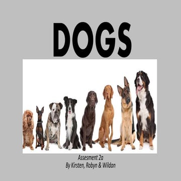 Dogs presentation | PPTX | Dogs | Pets