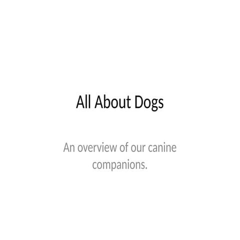 D o g s l i f e s t y l e _ Pres entation.pptx