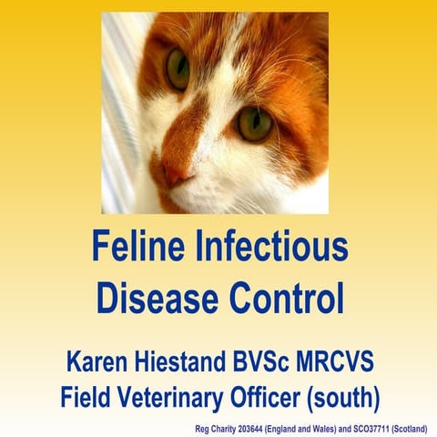Feline infectious disease control | PPT