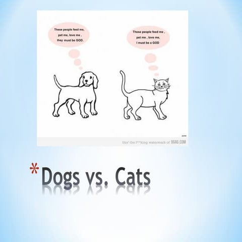 Dogs vs cats | PPT