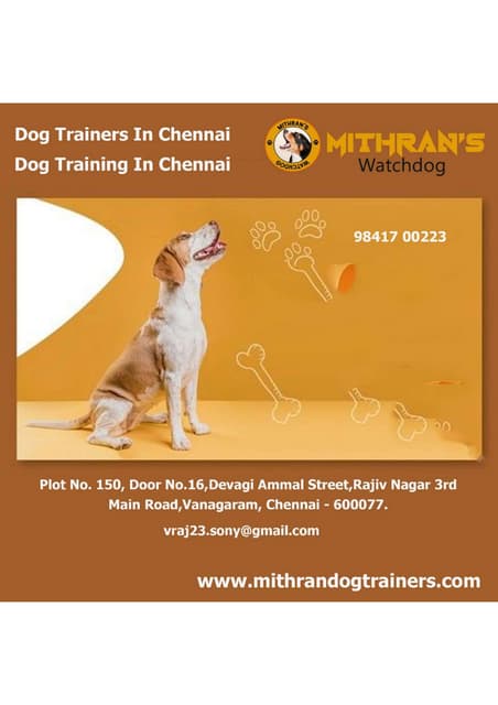 Dog Trainers In Chennai.pdf