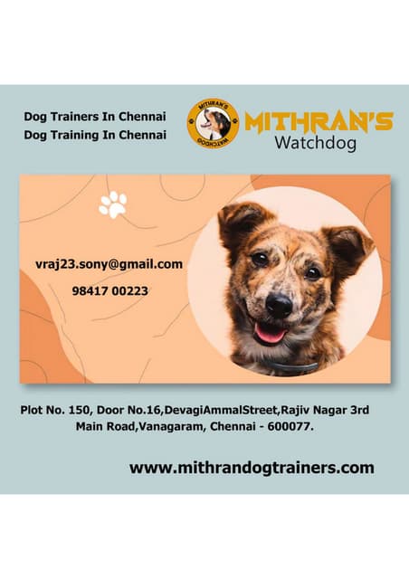 Dog Trainers In Chennai.pdf