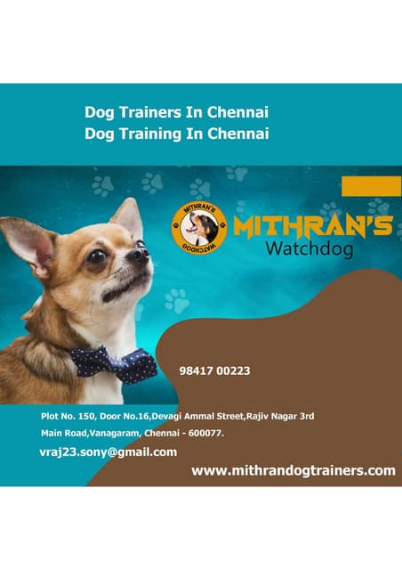 Dog Trainers In Chennai.pdf