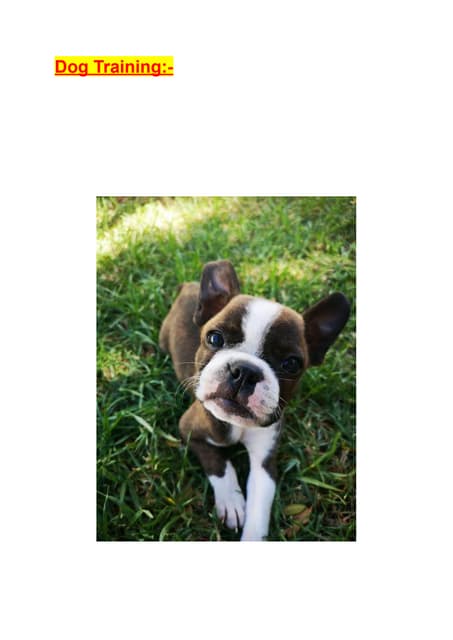 A guide to train your Dogs and catsE Books.pdf