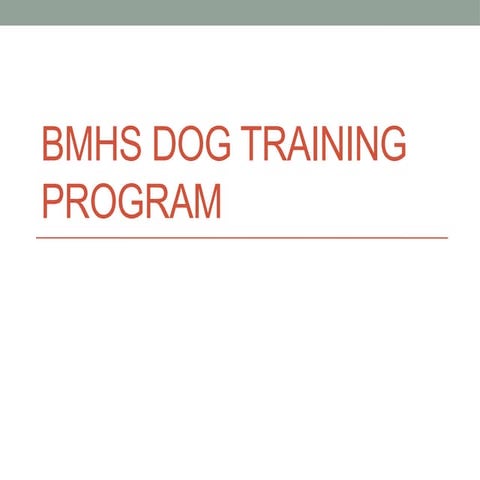 Dog Training Basic Ideas. Dog Training Ideas. | PPTX