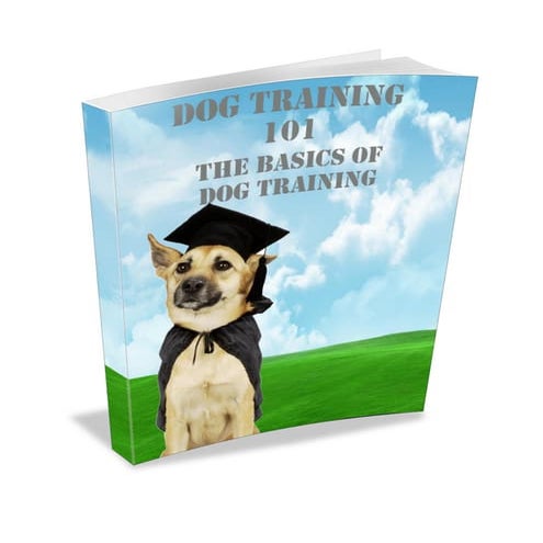 Dog training 101 - Learn The Techniques The Dog Training Schools Use | PDF