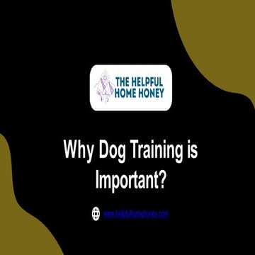 Dog Training (1) (1).pptx