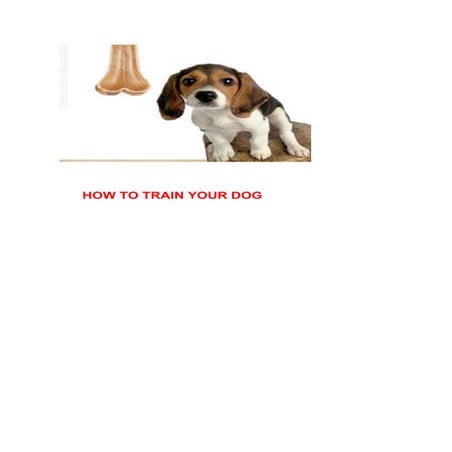HOW TO TRAIN YOUR DOG | PDF