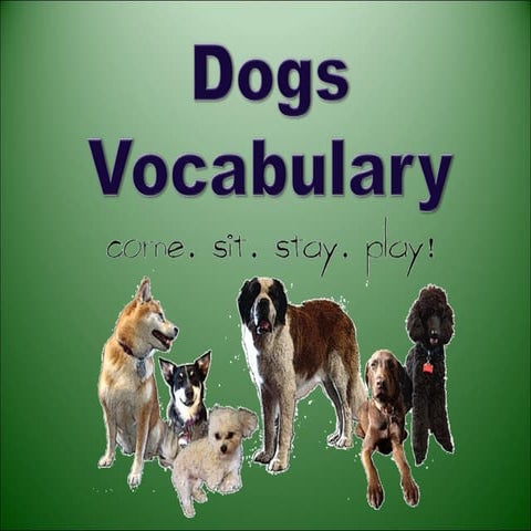 Dog vocabulary | PPT