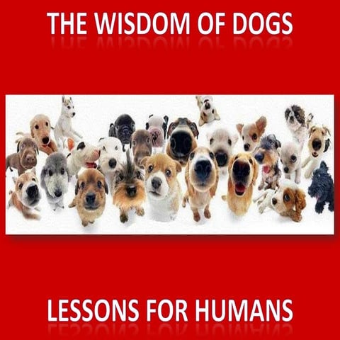 Dog Wisdom | PPTX