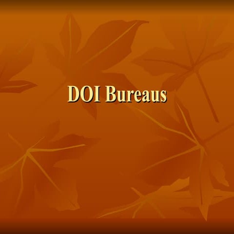 Doi Bureaus | PPT