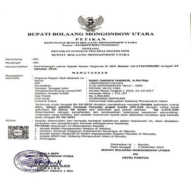 Dok SK Jabatan fungsional kesehatan bersama | PDF