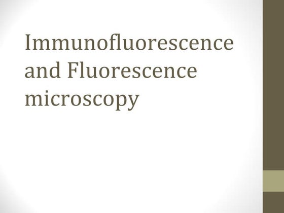 Immunofluorescence | PPT