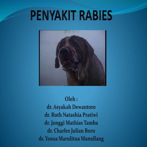 dokumen.tips_power-point-penyuluhan-rabies-1 (1).pptx