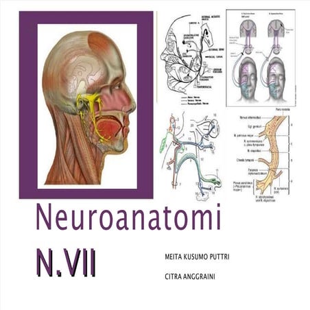 dokumen.tips_perjalanan-nervus-fasialis-neurologi (1).pptx