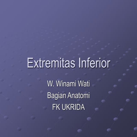 dokumen.tips_anatomi-extremitas-inferior-569e48c1235a5.ppt