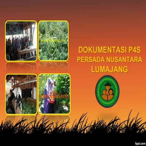 Dokumentasi P4S Persada Nusantara Lumajang | PPSX