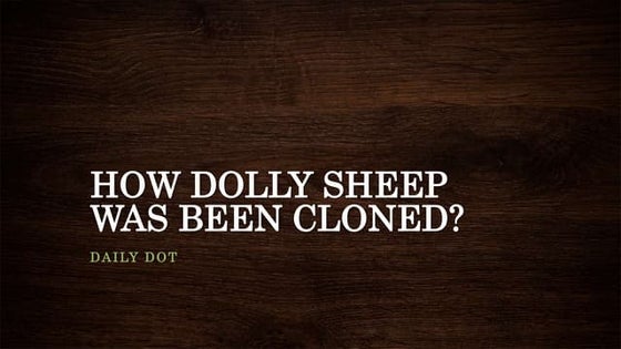 Dolly-The Cloned Sheep | DOCX