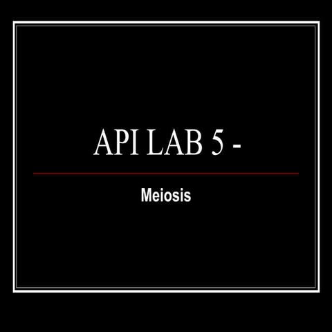 Mitosis& meiosis | PPT