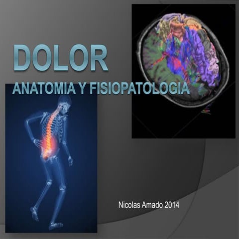 Dolor fisiopatologia | PPTX