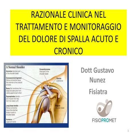 Dolore spalla percorsi fisioterapici | PPTX