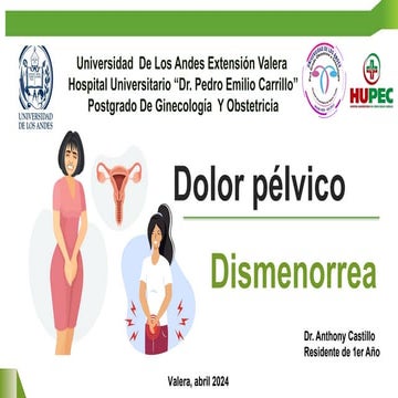 Dolor pelvico, el enigma diagnóstico en ginecologia | PPTX