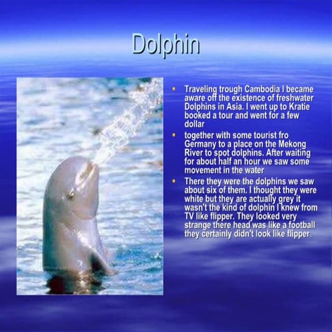 Dolphin | PDF